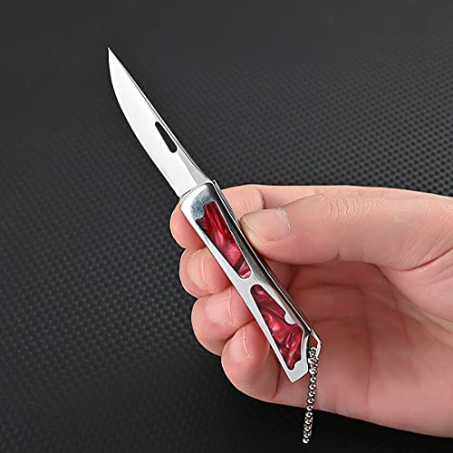 NBGDY Mini Knife Keychain, Small Pocket Folding Knife,EDC Package OpenerĀ Box Cutter Knife. 2PCS(Red and Blue)(KPQ-1029)