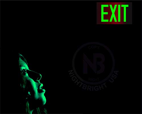 Photoluminescent Exit Sign (Red) / Pack of 2 / UV Inks on Aluminum. Heat Resistant | Cold Tolerant | Weather Proof. MADE IN USA.