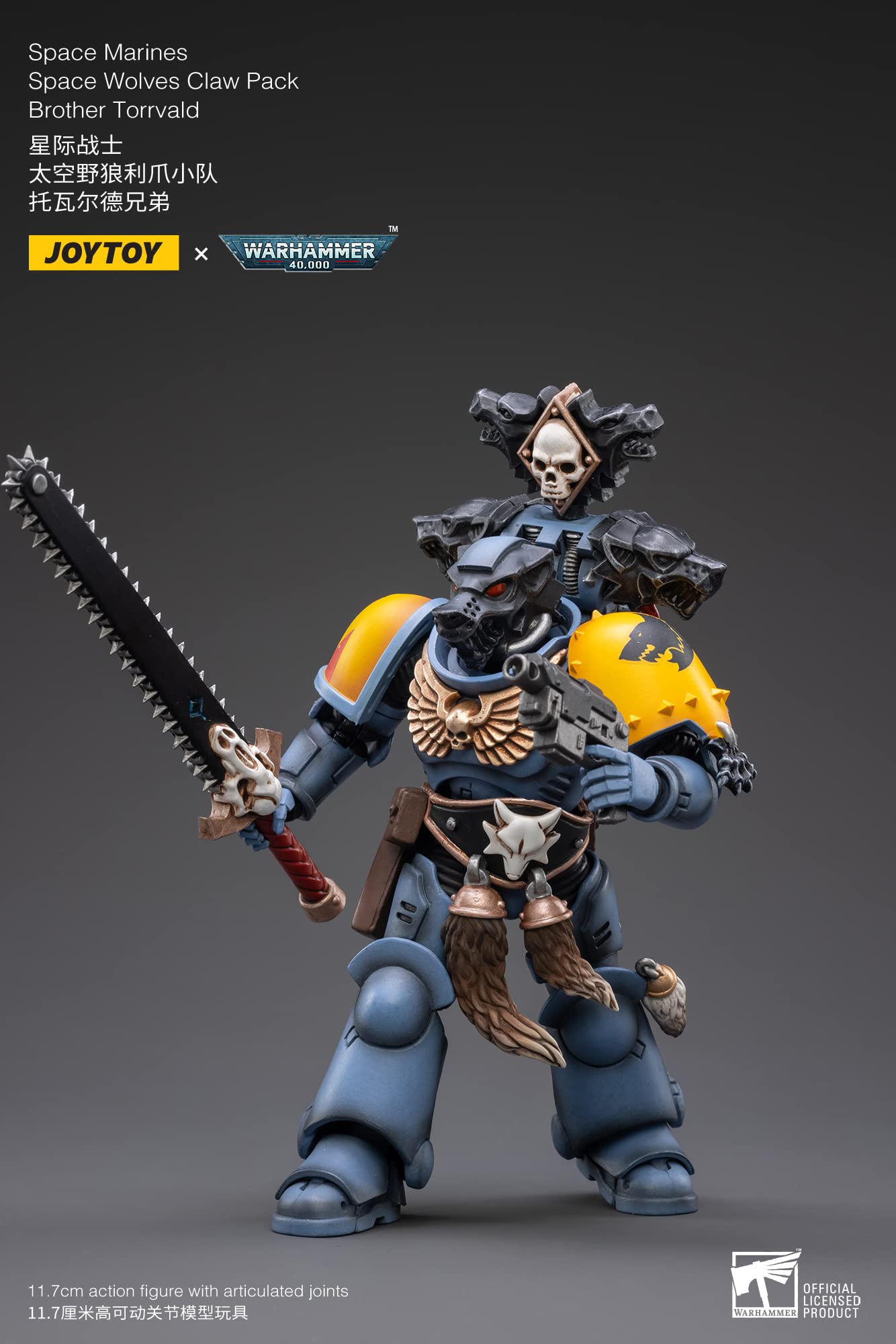 HUAXI DARK SOURCE(HAINAN)TECH JoyToy Warhammer 40K: Space Wolves Claw Pack Torrvald 1:18 Scale Figure