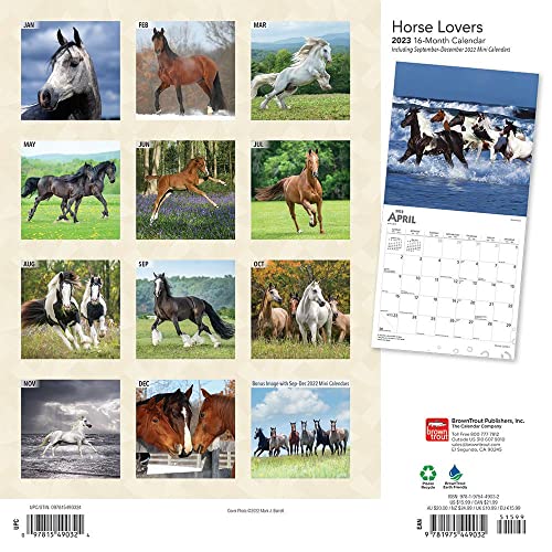 Horse Lovers | 2023 12 x 24 Inch Monthly Square Wall Calendar | Foil Stamped Cover | BrownTrout | Animals Equestrian