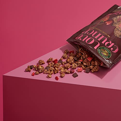 Love Crunch Organic Dark Chocolate and Red Berries Granola, 11.5 Ounce, Non-GMO, Fair Trade, by Nature's Path