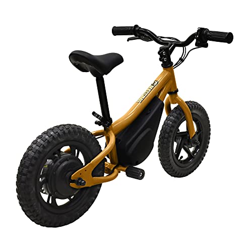 Massimo Motor E-11 Electric Bike for Kids 150 Watt, Age 3-8 yrs, 12in Wheels, Throttle Accelerate Adjustable Seat (Orange)