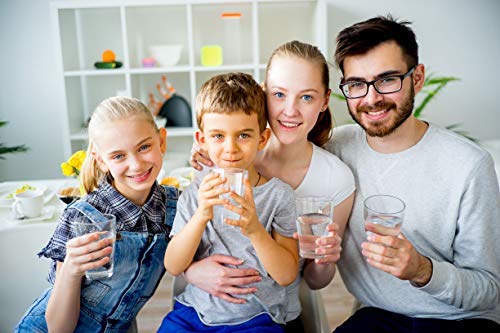 Kitchen Countertop Faucet Water Filter Replacement Cartridge with NSF Certified 42/53 Non-Woven Activated Carbon (F2800)