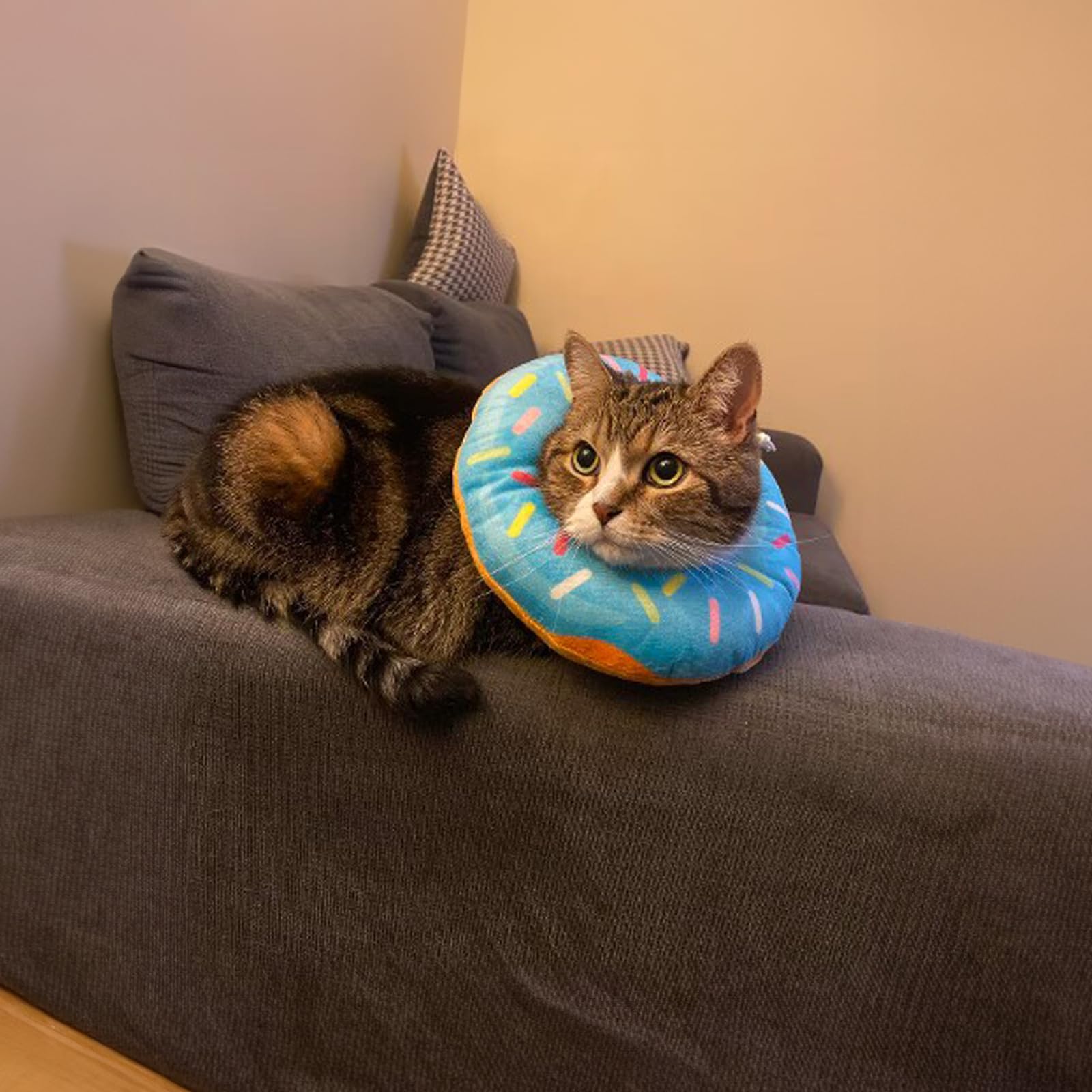 ZHUOKECE Cat Cone Collar Soft, Cute Cat Donut Cat Recovery Collar Adjustable Elizabethan Collar for Wound Healing, Comfortable Lightweight Neck Cone for Kitten Dog (Brown, S)