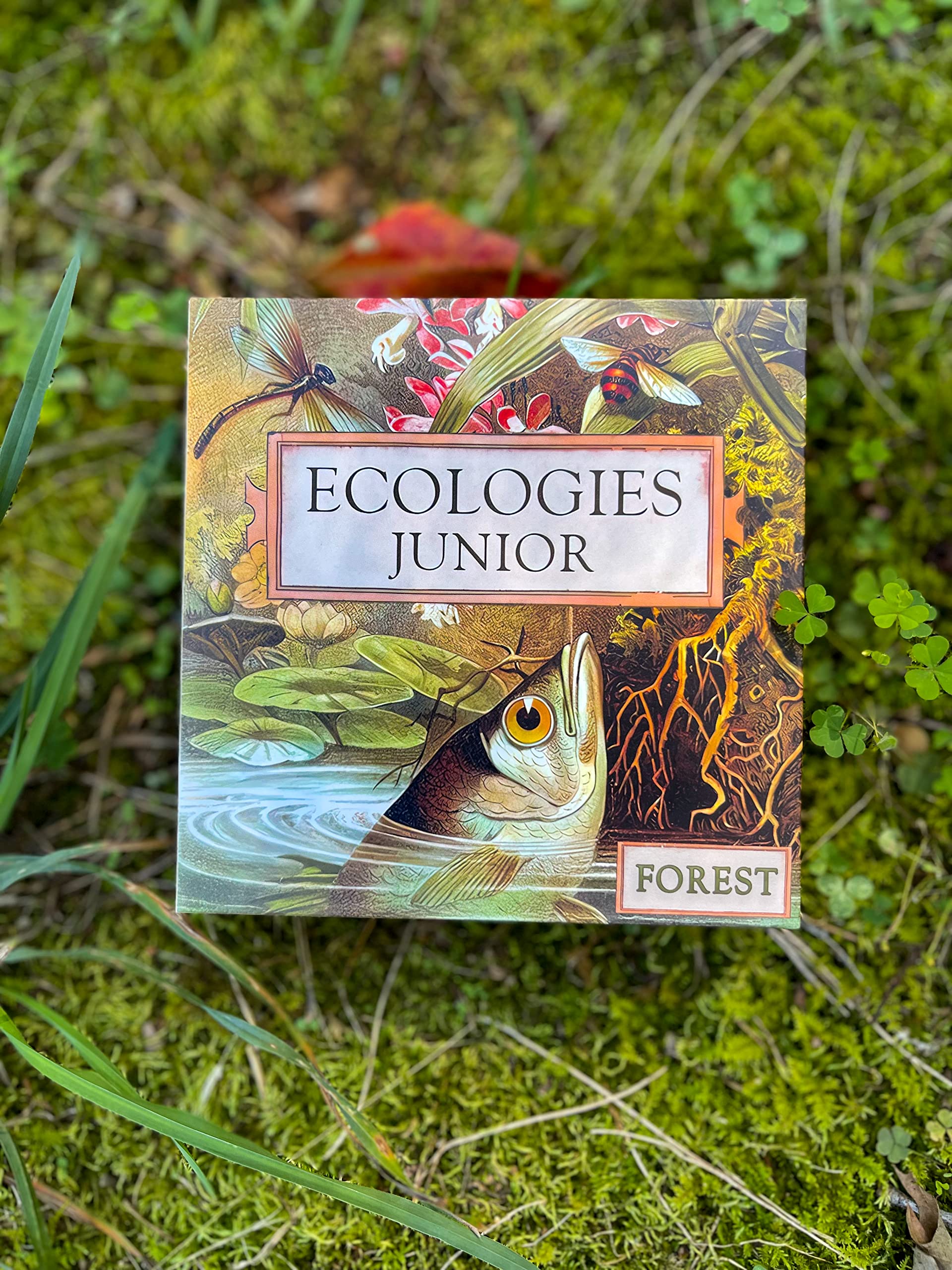 Montrose Biology Ecologies Junior: Forest - Memory Game and Food Web Builder for Ages 4+ - Learn Trophic Levels and Forest Life with Beautiful Vintage Art