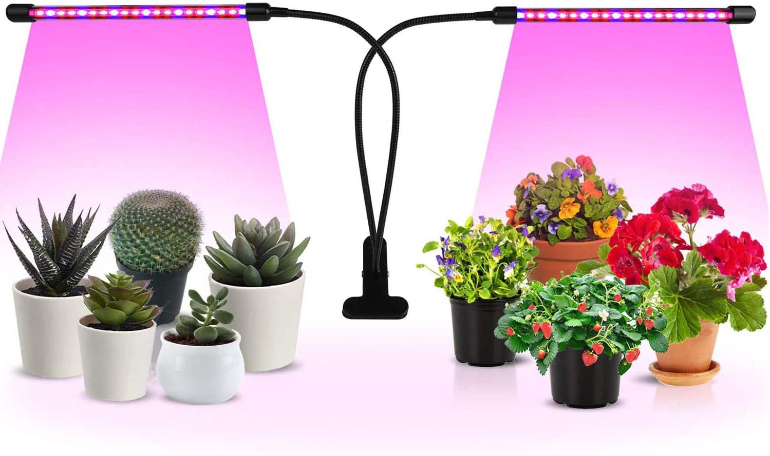 iPower LED Grow Light with Full Spectrum for Indoor Plants, Adjustable Gooseneck, 2/3 Light Modes&5/10 Dimmable Levels, 3 Auto Timing Modes, 2 Tubes, Red&Blue