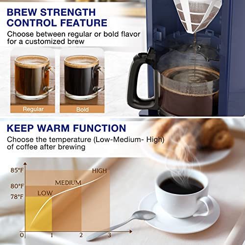 JOY Kitchen 12-Cup Digital Programmable Drip Coffee with Glass Carafe, Reusable Filter Basket & Coffee Spoon, Programmable up to 24 hours, Auto Warming & Self-Clean,Blue