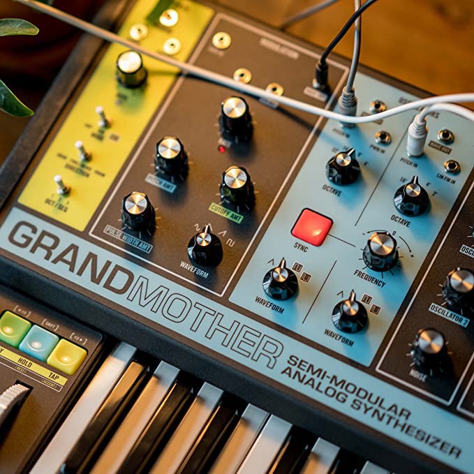 Moog Grandmother Semi-Modular Analog Synthesizer Bundle with Case, Patch Cables, Instrument and Midi Cable and Austin Bazaar Polishing Cloth