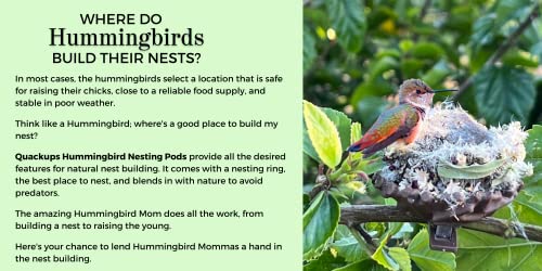 Quackups 2.6" Hummingbird Nesting Pods™, 2-Pk with Clips to Easily Attached on Branch for Outdoor Patio Garden Bird House