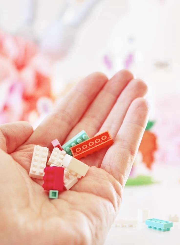 Momiji Pascale Mini Brick…