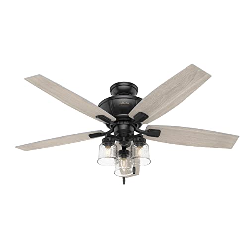 Hunter Fan Company 50403 Charlotte Ceiling Fan, 52, Matte Black Finish