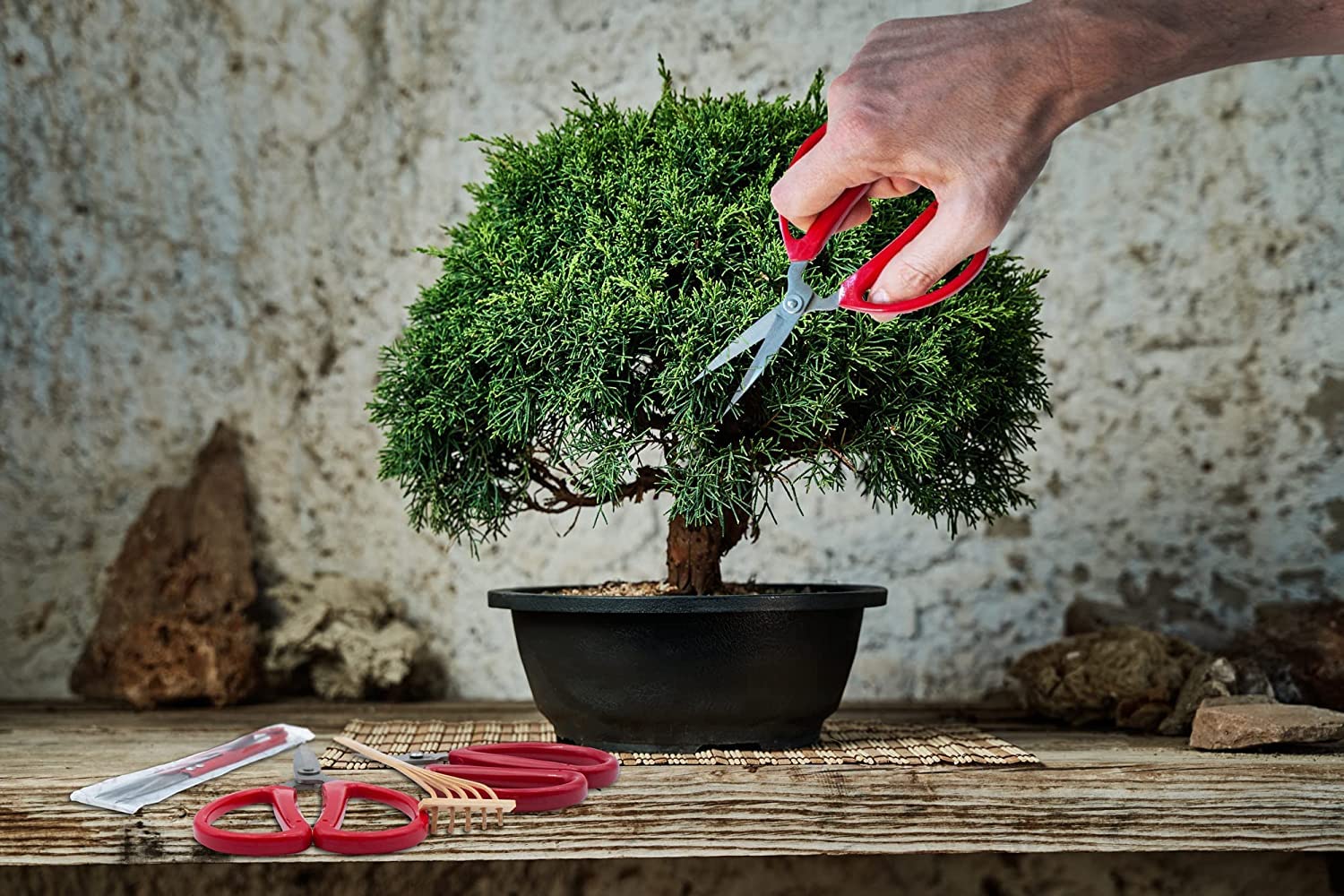 R&R SHOP Bonsai Precision Scissors Kit - Trimming, Bonsai Pruning, Precision Cuts and Small Branches and Roots, Bamboo Rakè - Set of 4