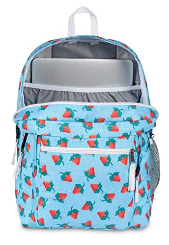 JanSport Supermax Strawberry Harvest/Blue Topaz One Size
