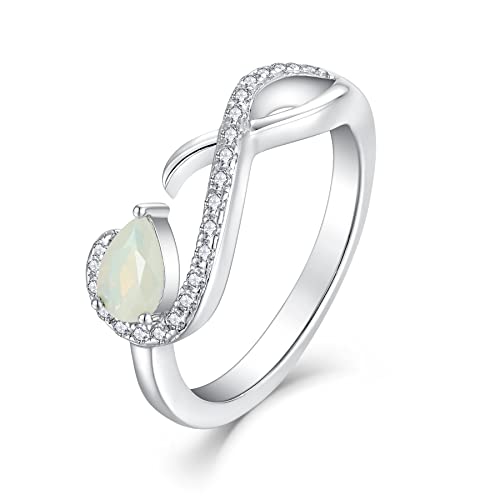 JO WISDOM Infinity Promise Rings for Her Sterling Silver Friendship Ring with Pear Cut 5A Cubic Zirconia Ring size 8