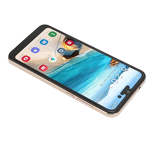 LANTRO JS Gold 6.1in Smartphone with 4GB RAM, 64GB ROM, 4000mAh Battery, Face Recognition, Android 11, and 4G Network, Compatible with EU Plug, ABS Glass Material