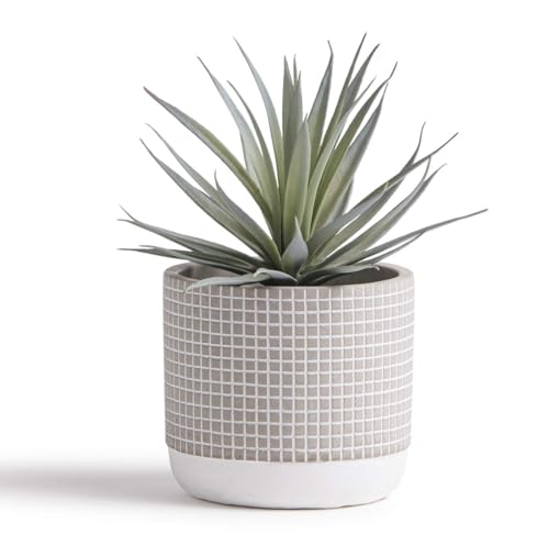 Kurrajong Farmhouse Artificial Plant | 8" Fake Plant | Artificial Succulent in Pot | Fake Succulent | Faux Plant Indoor | Succulent Plant Artificial | Faux Succulent in Pot