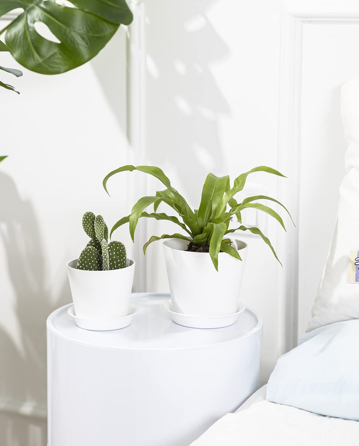 LaDoVita 7 Pack Plastic Plant Pots Indoor, 7/6.5/6/5.5/5/4.5/4 Inch Modern Planters for Plants, Flower Pots with Drainage Holes and Trays, White