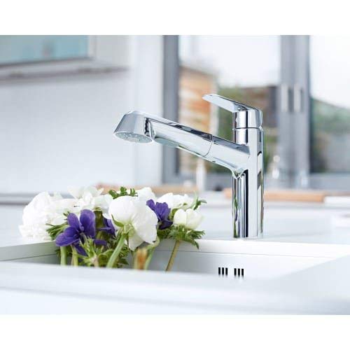 Grohe Eurodisc Single-Handle Pull-Out Kitchen Faucet