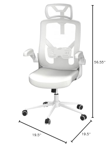 π―πΆπ΄π¬ πΆπππ°πͺπ¬ πͺπ―π¨π°πΉ, Ergonomic Mesh Desk Chair, High Back Computer Chair- Adjustable Headrest with Flip-Up Arms, Lumbar Support, Swivel Executive Task Chair (Modern, White)