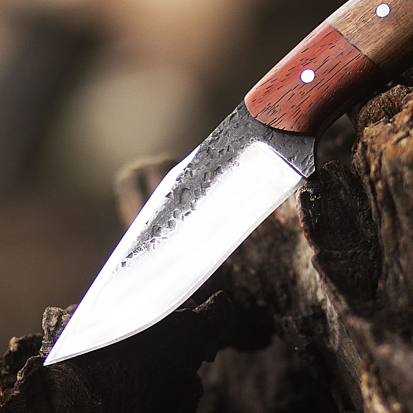 Medieval Supplies True Hand Forged 1095 High Carbon Steel Hunting Knife Camping Knife Bushcraft Knife Fixed Blade Knife With Leather Sheath