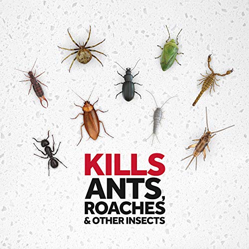Raid Ant & Roach Killer Defense System, Outdoor Fresh Scent 17.5 Ounce (Pack of 12)