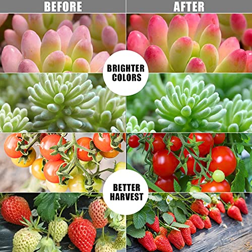 PYLYFE Full Spectrum Plant Grow Light, Grow Lights for Indoor Plant, Clip-on Full Spectrum Grow Light, Flexible Gooseneck, Automatic Timer, 4 Brightness Levels for Seedling Growing Blooming Fruiting