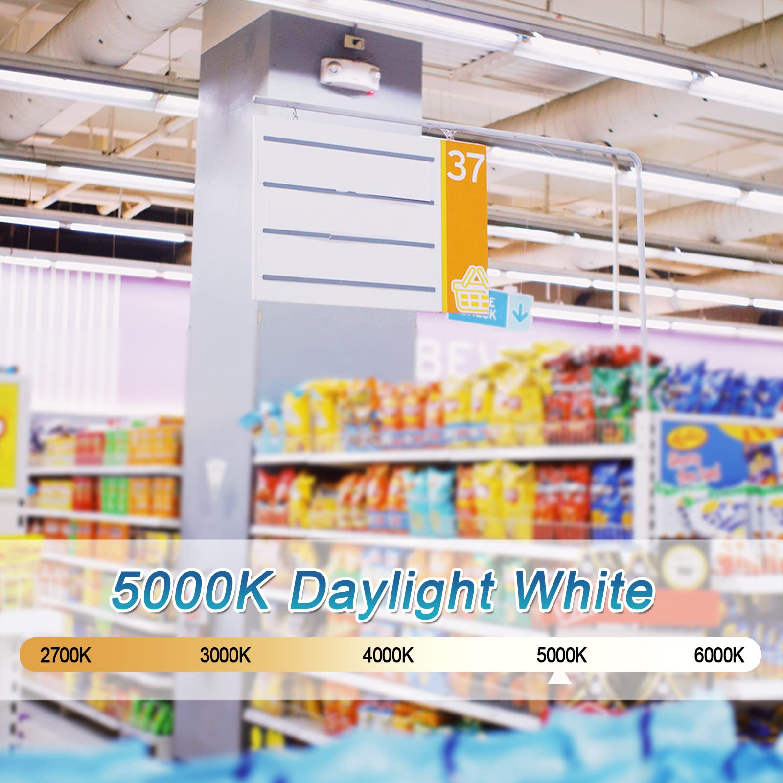 Marxlait 24 Pack T8 LED Bulbs 4FT, 5000K Daylight White, 40W Equivalent, Ballast Bypass, Dual Ended Powered LED Light Bulbs, LED Fluorescent Tube Replacement T8 T12, LED Shop Light Bulb, Non-dimmable