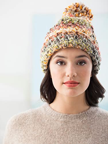 Lion Brand Yarn - Wool-Ease Thick & Quick - Prints & Stripes - 3 Pack with Pattern Cards in Color - 640-610 (Coney Island)
