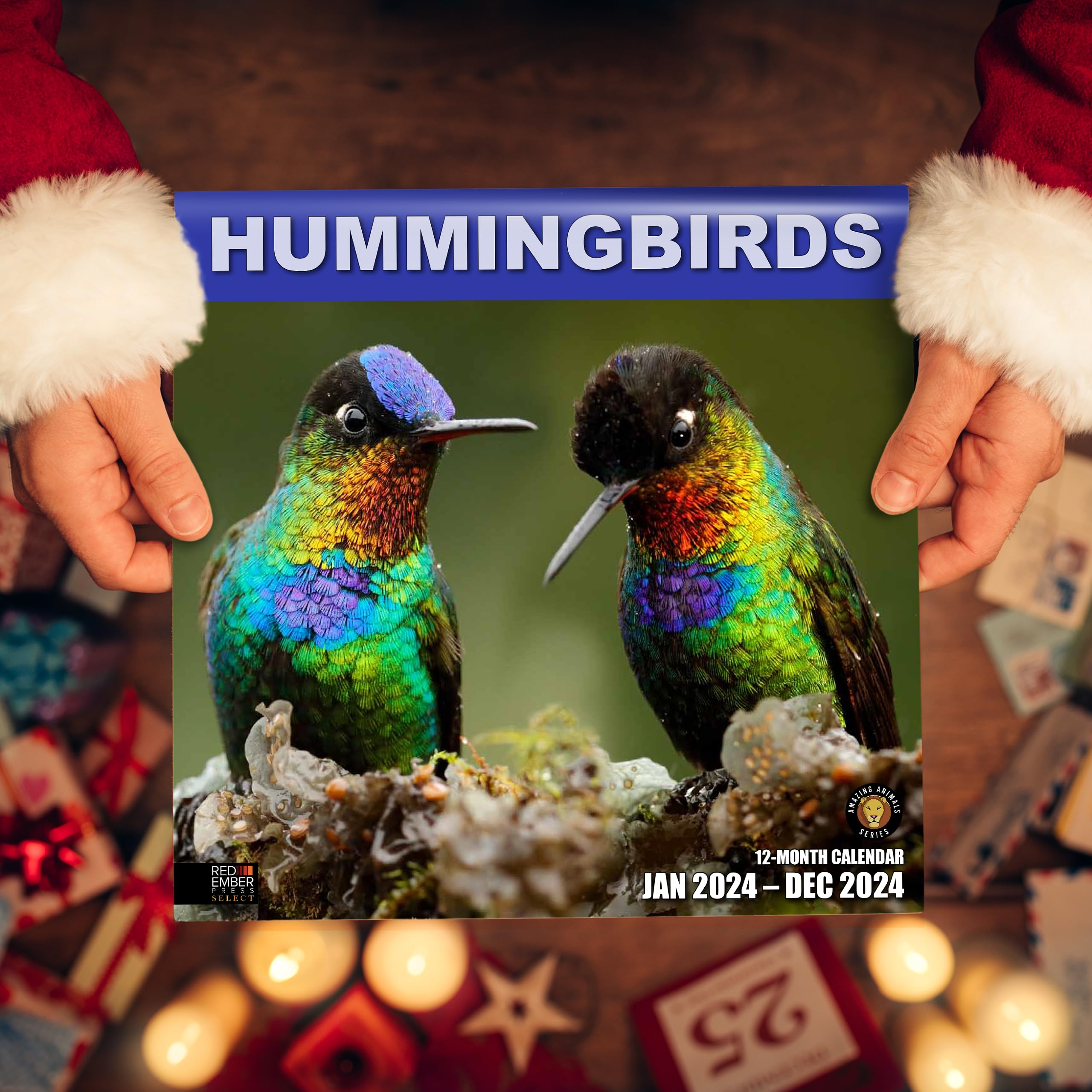 Hummingbirds 2024 Hangable Monthly Wall Calendar by Red Ember Select Series | 12" x 24" Open | Thick & Sturdy Paper | Giftable | Garden | Stunning Creatures of Flight