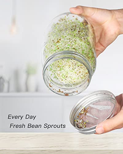 RAYPLE Sprouting Jar Kit, 2 Wide Mouth Mason Jars, Premium Stainless Steel Screen Sprout Lids, Blackout Sleeves, Tray, Stand, Sprouting Kit for Growing Broccoli,Alfalfa,Mung Bean