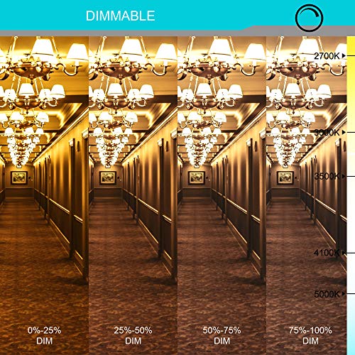 LABORATE LIGHTING, Halogen Light Bulbs, Decorative Light Bulbs, Cut Glass, Outdoor/Indoor Vanity Light Bulb, 40 Watt Halogen Bulb, Completely Dimmable, Pack of 6.