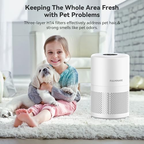 Original FULMINARE T10 Air Purifier Replacement Filter, 3-In-1 Filter, Efficiency Activated Carbon, Filtering Out 99.99% 0.01 Microns, Smoke, Pollen, Particles