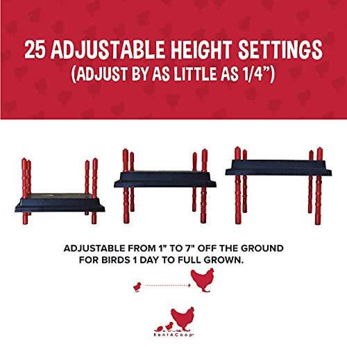 RentACoop Chick Brooder Heating Plate - Brooder Heat Plate Warms Up to 20 Chicks - Chick Heater with 25 Adjustable Heights and 22 Watts - Safer Alternative to Heat Lamps - 12" x 12"