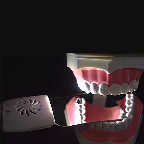 OUBO US Stock Occlusal Mirror Orthodontic LED Fog-Free Photo Mirror Stainless Steel Observation Mirror
