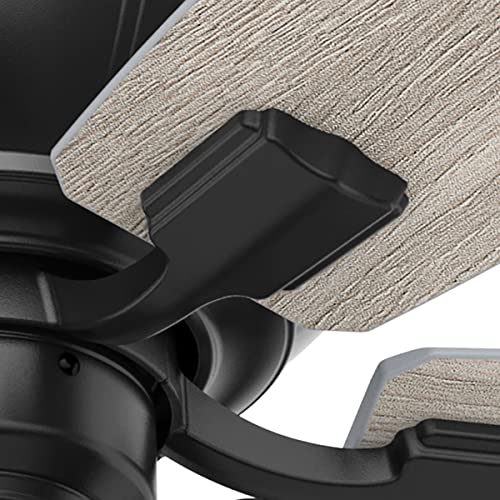 Hunter Fan Company 50403 Charlotte Ceiling Fan, 52, Matte Black Finish