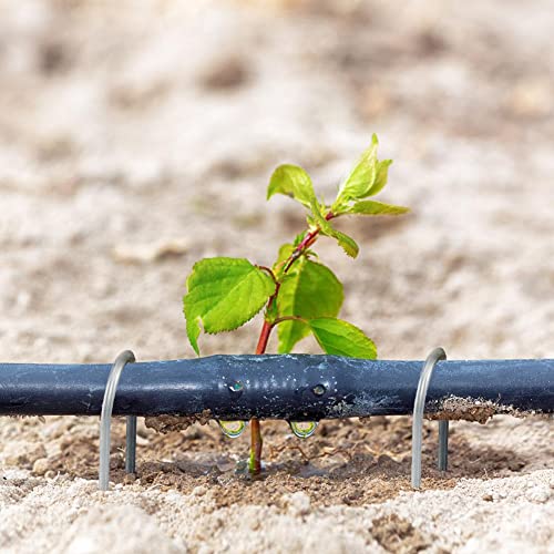 Landscape Staples 6 Inch Galvanized Garden Stakes 150 Pack,Garden Staples Heavy-Duty Sod Pins Anti-Rust Fence Stakes Securing Pegs for Barrier Fabric Irrigation Tubing Hose Weed
