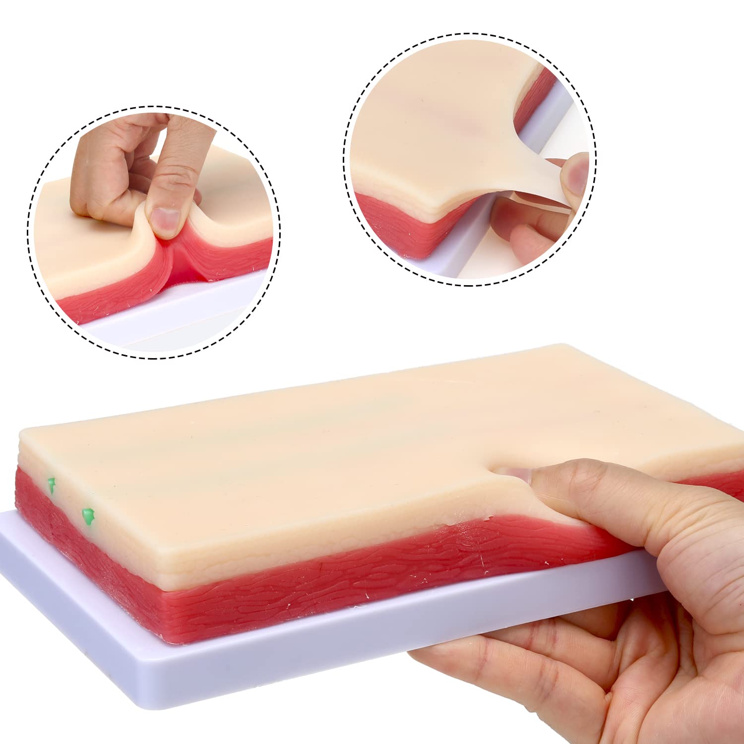 MIIRR IV Injectable Training Pad Model, Embedded with 4 Veins and 3 Skin Layers, Reusable for Medical Student Nurse Practice