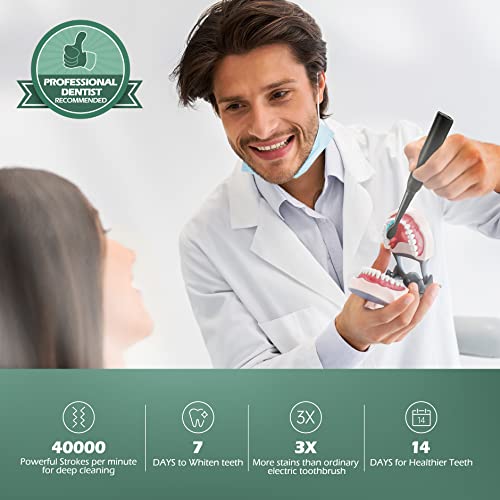 PHIPRIME Electric Toothbrush for Adults, 8 Brush Heads Sonic Electric Toothbrushes, 40000 VPM Deep Clean, 5 Modes Rechargeable Toothbrushes, 3 Hours Charge Last 30 Days (Black)