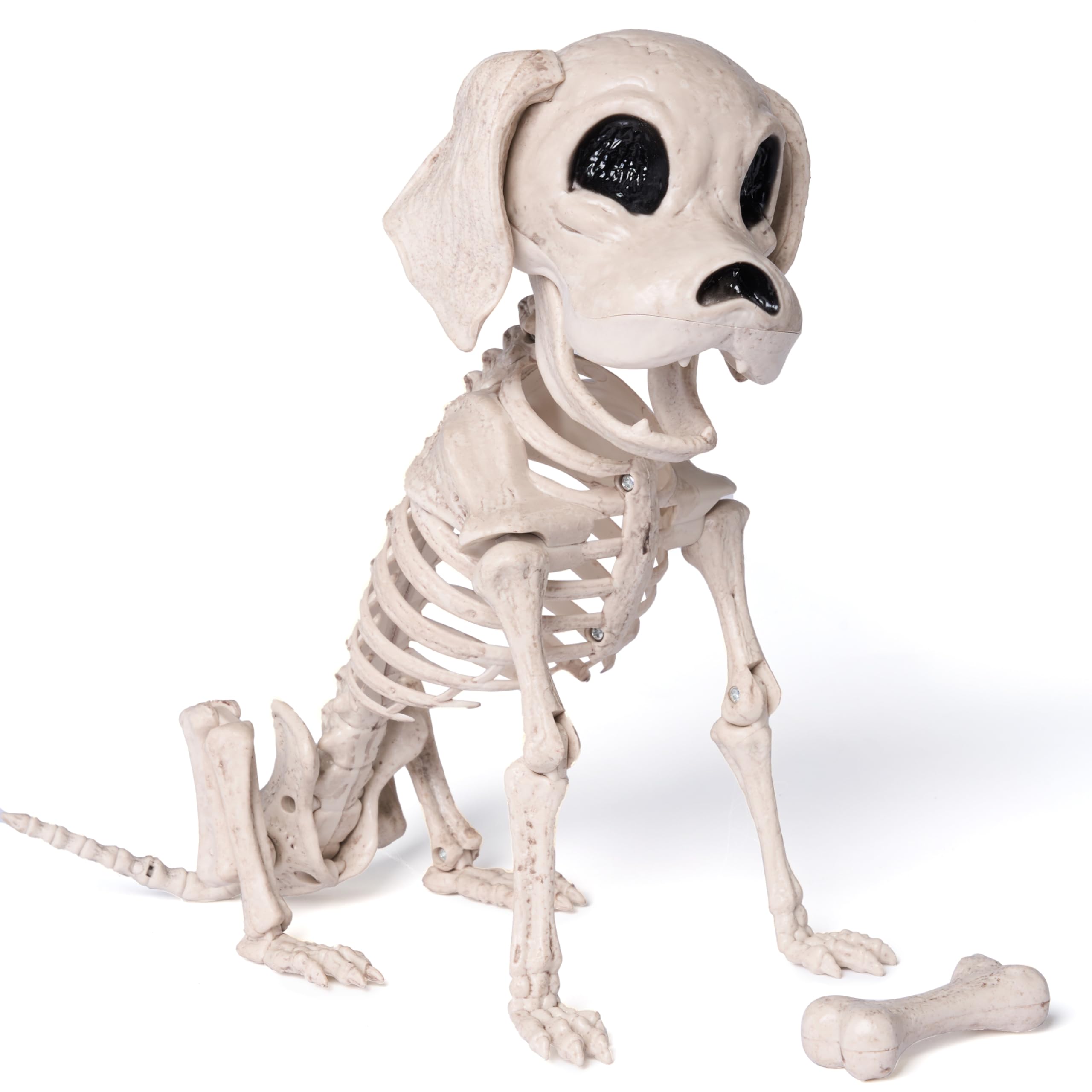 JOYIN Posable Halloween Dog Skeleton Full Body Posable Joints Skeleton Puppy for Halloween Decoration, Graveyard Party Deco (9.8” X 4.7” X 12.6”)