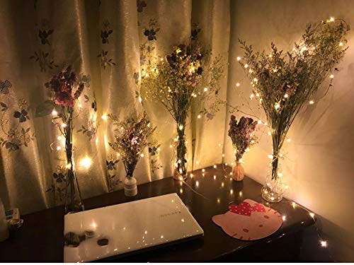 hhxiao String Light Waterproof Timer 16.5ft 5m Battery Powered Led Copper Wire String Fairy Light Home Garden Festival Outdoor Lighting