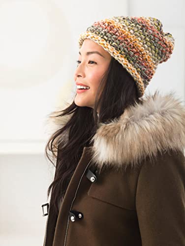 Lion Brand Yarn - Wool-Ease Thick & Quick - Prints & Stripes - 3 Pack with Pattern Cards in Color - 640-610 (Coney Island)