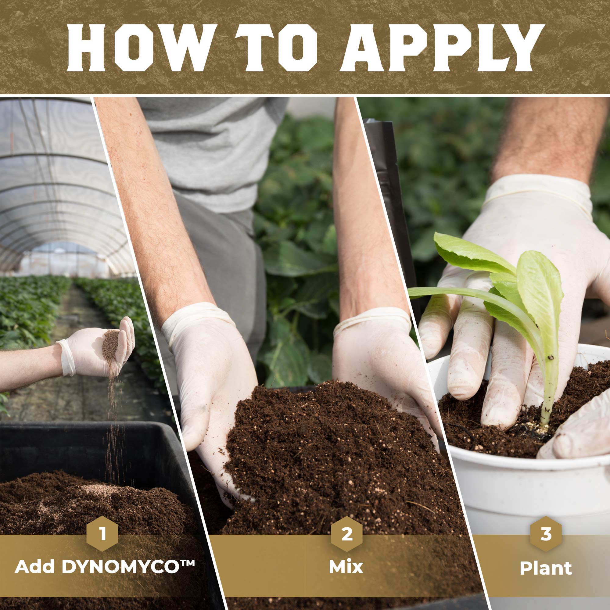 Mycorrhizal Inoculant by DYNOMYCO β High Performing Strains β Concentrated Formula β Improves Nutrient Uptake β Increases Plant Yields Enhances Resilience to Stress Saves Fertilizer (3.5 Oz / Up to 20 Plants)