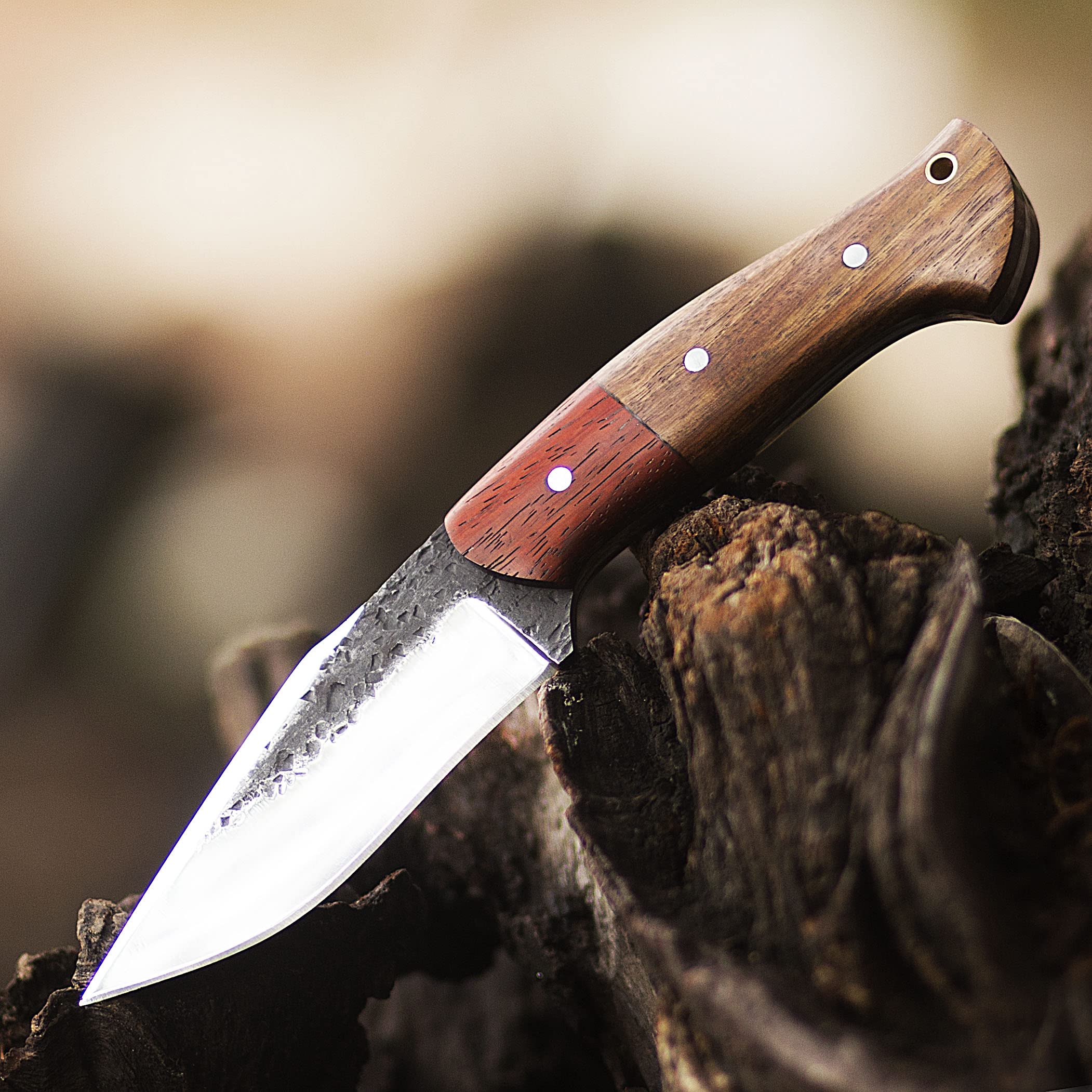 Medieval Supplies True Hand Forged 1095 High Carbon Steel Hunting Knife Camping Knife Bushcraft Knife Fixed Blade Knife With Leather Sheath