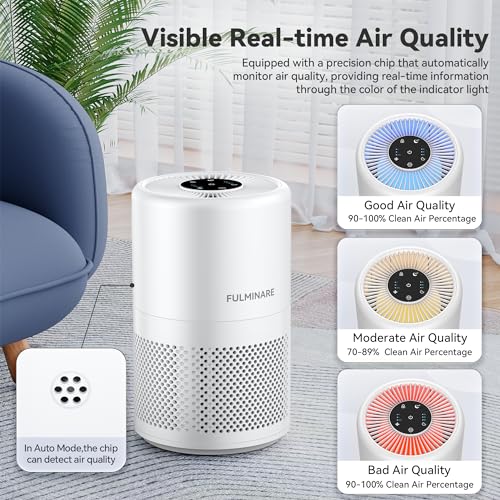 Original FULMINARE T10 Air Purifier Replacement Filter, 3-In-1 Filter, Efficiency Activated Carbon, Filtering Out 99.99% 0.01 Microns, Smoke, Pollen, Particles