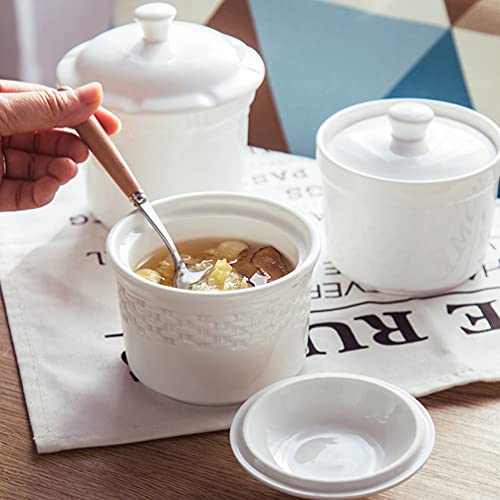 Operitacx Ceramic Stew Pot with Lid and Spoon Japanese Small Steam Soup Bowl Steaming Cup Serving Dish Seasoning Jar for Cereal Rice Chili Beef Stew Medicinal Birds Nest Egg Custard Appetizer