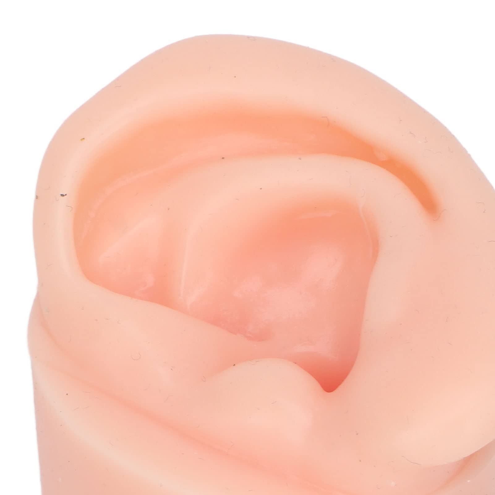 Piercing Ear Model Training Accessory Silicone Ear Model Soft Light Skin Color Reusable Long Ear Canal For Teacher For School (Right)