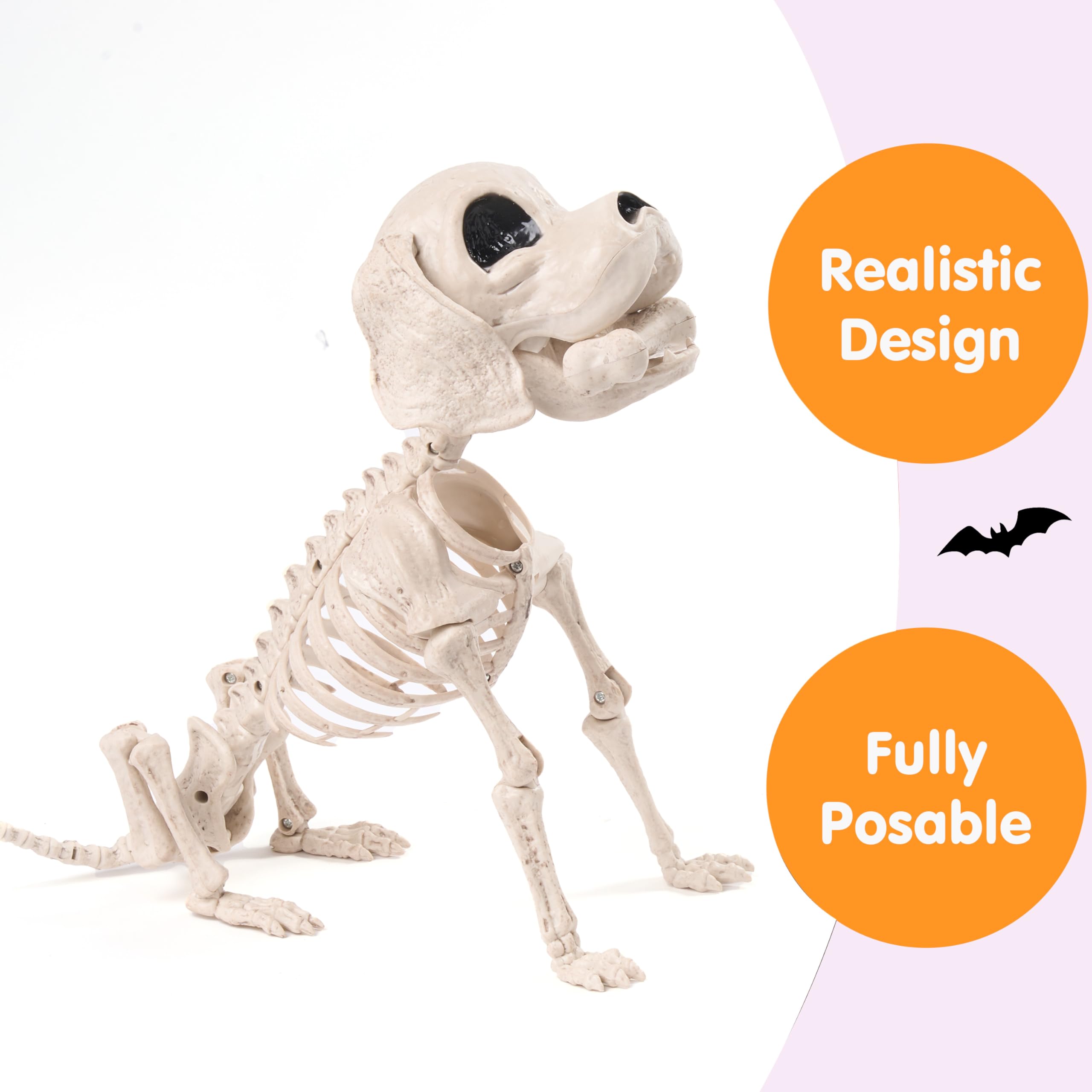 JOYIN Posable Halloween Dog Skeleton Full Body Posable Joints Skeleton Puppy for Halloween Decoration, Graveyard Party Deco (9.8” X 4.7” X 12.6”)