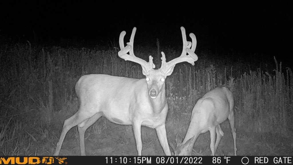 Muddy Outdoors MTC100X 14.0 MP Trail Camera