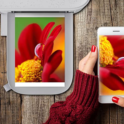 HP Sprocket Studio Plus 4 x 6β Photo Paper and Cartridges (Includes 216 Sheets and 4 Cartridges) β Compatible only with HP Sprocket Studio Plus Printer