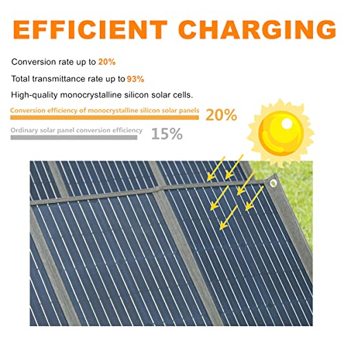Pecron 36 Volts Portable Solar Panel,100W Solar Panel*2 in Series,High Efficiency Off-Grid Emergency Power Supply for RV Camping Travel Outdoor Backup,USB Outputs for E1000 E1500 Q2000S Q3000S